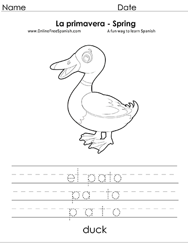 spring coloring pages spanish